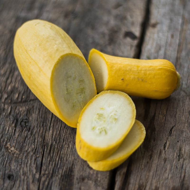Guide to Yellow Squash – Blazer Cookbook